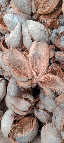 Lifestyle Communication Natural Raw Coconut Shell, Color : Brown at Rs ...