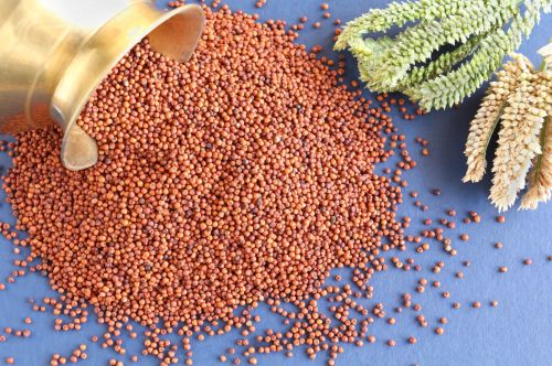 Finger Millet, Color : Dark Brown Or Reddish-Brown at Best Price in ...