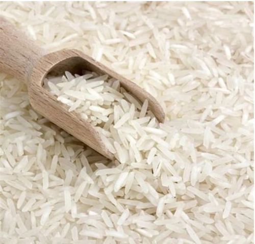 BASKATI Organic Baskathi Rice for Cooking, Food, Human Consumption at ...