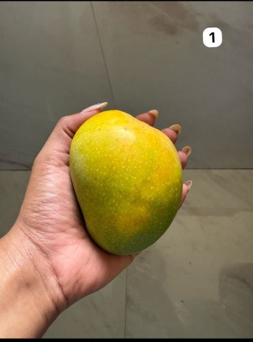 Natural Fresh Mango, Color : Yellow, Packaging Size : 10Kg at Best ...