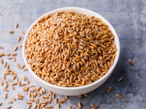 Organic Wheat Grains, Color : Creamy, Golden Brown at Best Price in ...