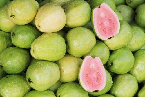 Natural Fresh Guava, Color : Green, Certification : FSSAI Certified at ...