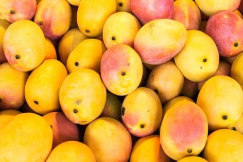 Natural Fresh Mangoes, Color : Yellow at Rs 120 in Pune - ID: 7990404 ...