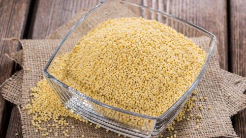 Common Little Millet, Color : Creamy-yellow, Packaging Size : 50Kg at ...