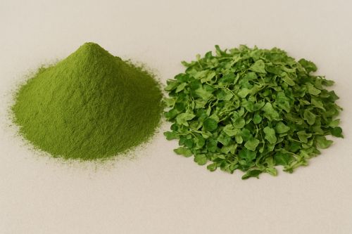 Natural Moringa Leaves Powder, Color : Green at Rs 200 in Bangalore ...