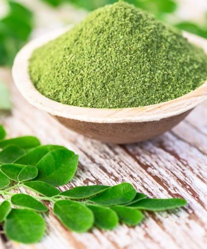 Moringa Leaves Powder, Color : Green at Best Price in Nashik - ID: 8038522