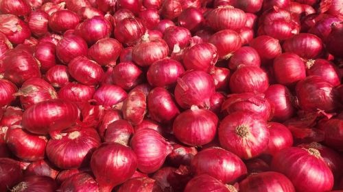 Natural A Grade Red Onion, Shape : Round, Packaging Size : 30-35 Kg at ...