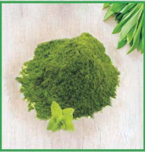 Mint Powder, Color : Green, Packaging Type : Plastic Pouch at Rs 100 in ...