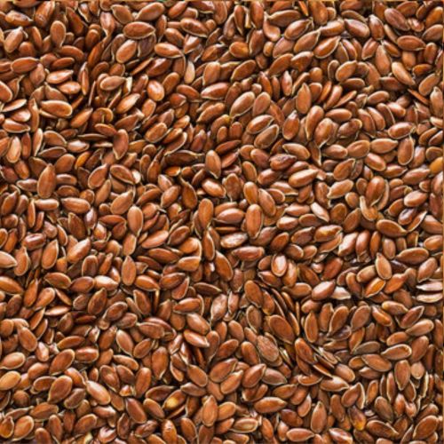 Flex Seeds, Color : Brown, Packaging Size : 25kg at Best Price in Pali ...