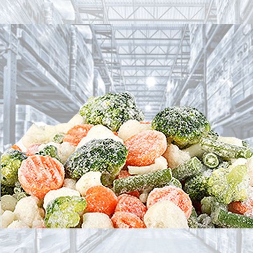 Frozen Cold Storage for Freezing Products at Best Price in Ahmedabad ...