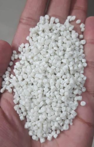 Milky White Polypropylene Granules, Packaging Type : Bag at Rs 62 in Rampur - ID: 8121766