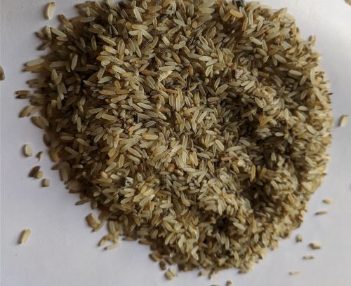 Golden Rejected Rice, Certification : FSSAI Certified for Cooking at Rs ...
