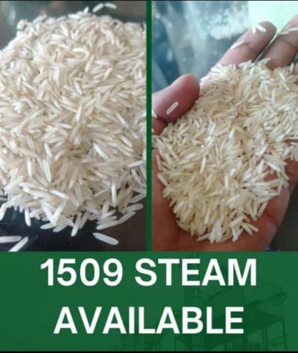 1509 Steam Rice, Form : Solid, Packaging Type : Loose Packing at Best ...