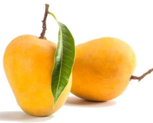Fresh Mango, Color : Yellow for Direct Consumption, Salads, Smoothies ...