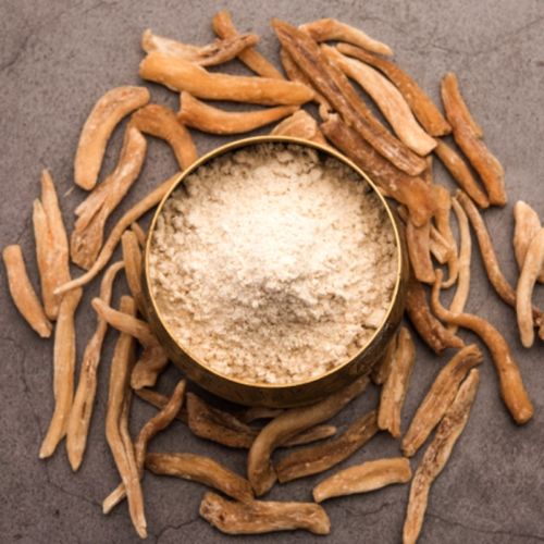 White Musli Powder, Purity : 100% for Medicine Use at Best Price in ...