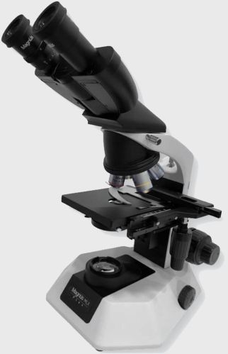 Biological Microscope at Best Price in Mumbai - ID: 8180401 | Labline