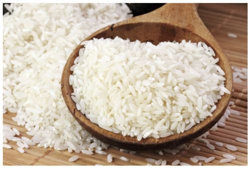 Slightly Sticky When Cooked White Aromatic Seeraga Samba Rice at Best ...