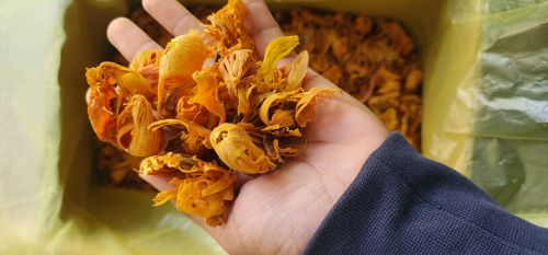 Mace, Color : Reddish-brown at Best Price in Ahmedabad - ID: 8340184 ...