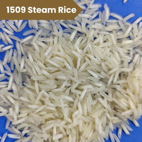 White 1509 Steam Basmati Rice, Packaging Type : In Bags Or Sacks at Rs ...