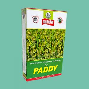 Paddy Special at Best Price in Bangalore - ID: 3852299 | Multiplex ...