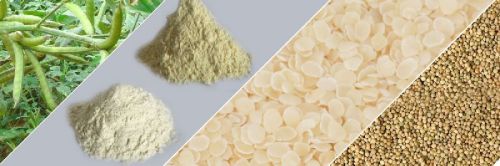Guar Gum Splits, Color : PALE – WHITE at Best Price in BARMER - ID: 3551033