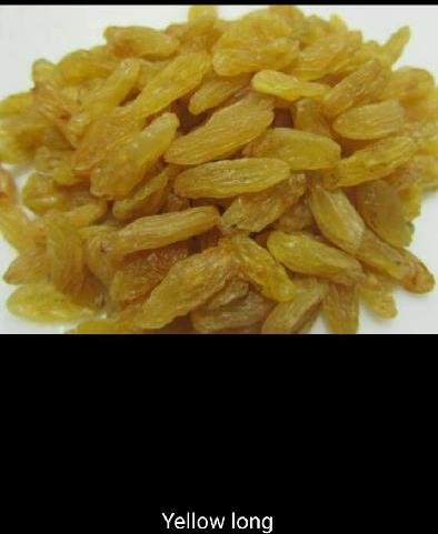 Long Yellow Raisins at Best Price in Sangli - ID: 3185473 | VAISHNAVI ...