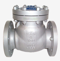 Spring Check Valve at Best Price in Mumbai - ID: 3611666 | Vip Valves ...