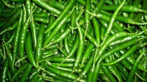Fresh Green Chilli, Color : Packing 5 Kg at Rs 42310 in Pune - ID: 2459821