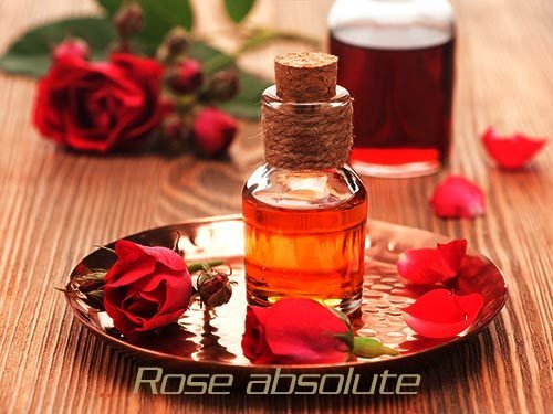 Rose Absolute Oil at Best Price in Chennai - ID: 3361407 | Prime Essentials