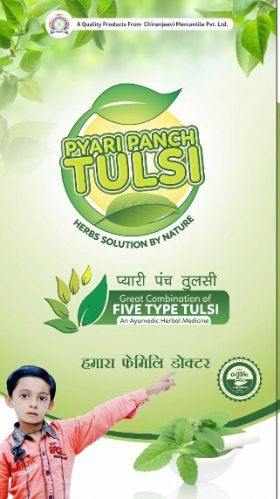 Pyari Panch Tulsi at Best Price in Patan - ID: 2829523 | Life Touch ...