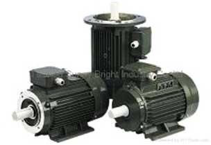 Electric Motor (BEBF) at Best Price in Chandigarh - ID: 149587 | S ...
