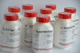 Dehydrated Culture Media at Best Price in Delhi - ID: 3491521 | CENTRAL ...