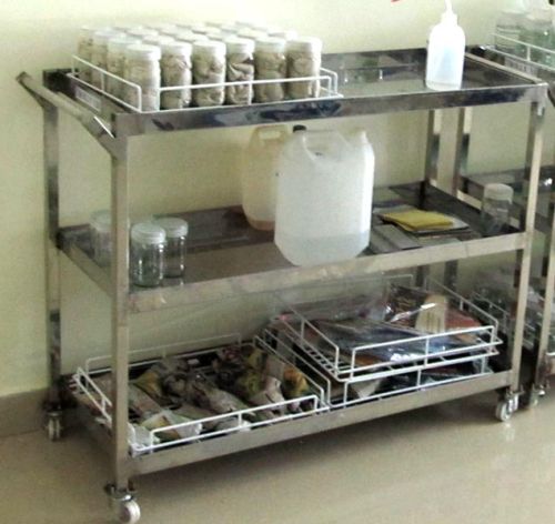 Stainless Steel Lab Trolley, Size : Customized at Best Price in ...