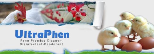 Cresylic Acid at Best Price in Hyderabad - ID: 3468636 | Neospark Drugs ...