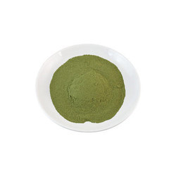 Banaba Leaf Extract Powder at Best Price in Ghaziabad - ID: 3669954 ...