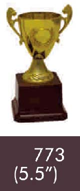 773 05-5 Inches Trophy, Feature : Durable at Rs 168 in Kota - ID: 2097302