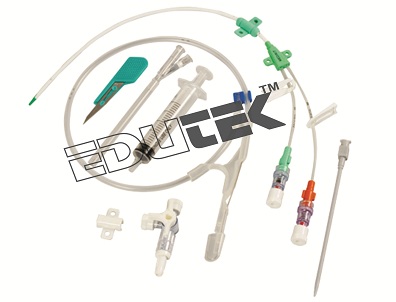 Single Lumen Catheter Kit at Best Price in Ambala - ID: 3746150 ...