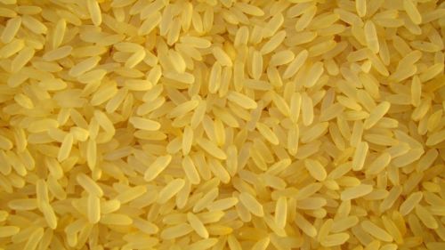 IR64 Basmati Rice at Best Price in Visakhapatnam - ID: 1171986 | Laxhmi ...