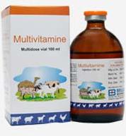 Multivitamin Injection at Best Price in Hyderabad - ID: 1579230 ...